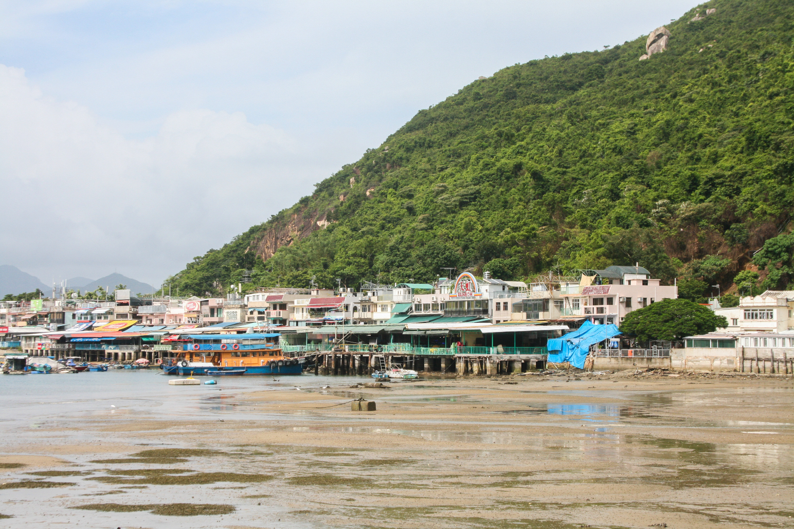 Best things to do and eat in Lamma island