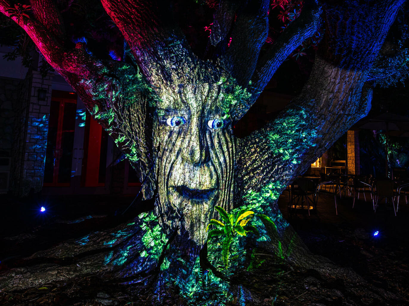 Where to see the most spectacular Christmas lights in Miami