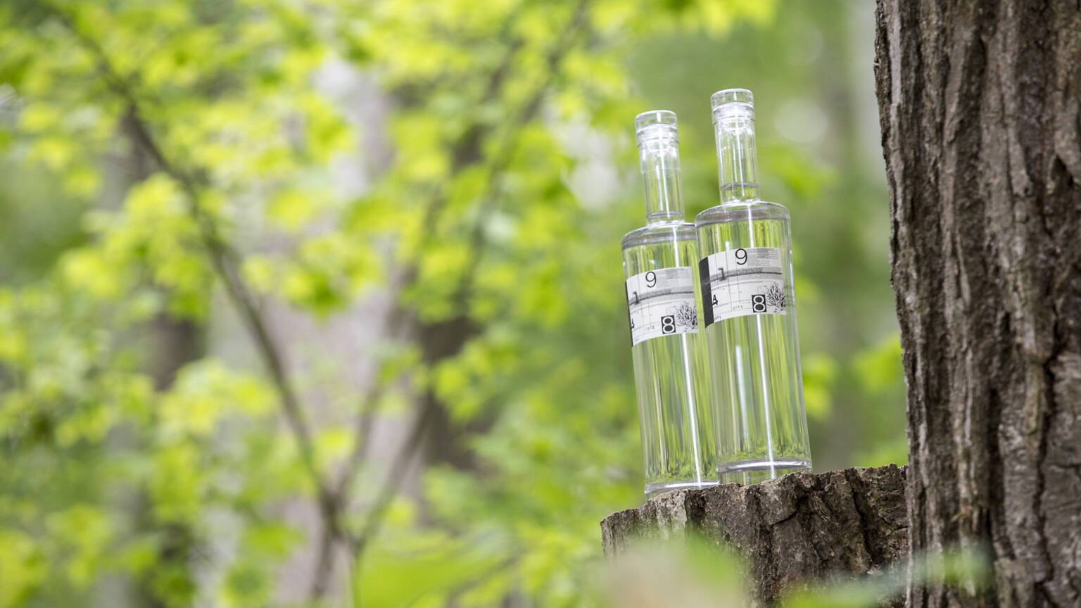 Best Japanese artisanal and craft gin | Time Out Tokyo