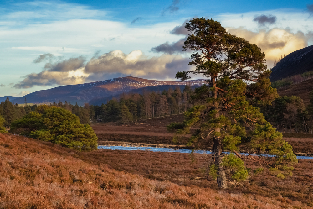 Best Things To Do in Royal Deeside | 13 Royal Deeside Activities