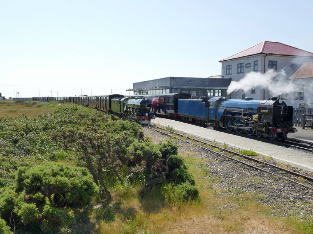7 Best Things To Do In Dungeness Right Now