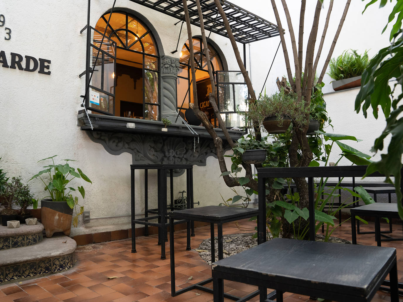 Las mejores cafeterías con terraza en la CDMX