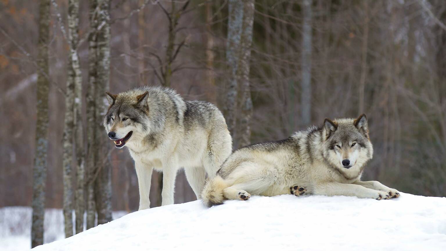 The national parks of Croatia: waterfalls, lakes and islands