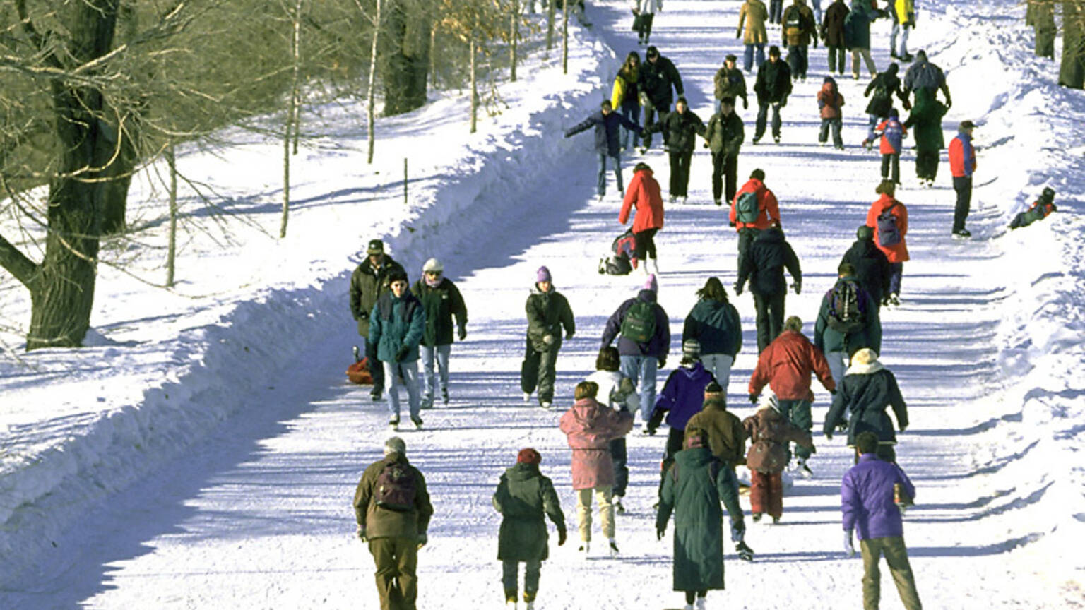 Best Ice Skating in Montreal