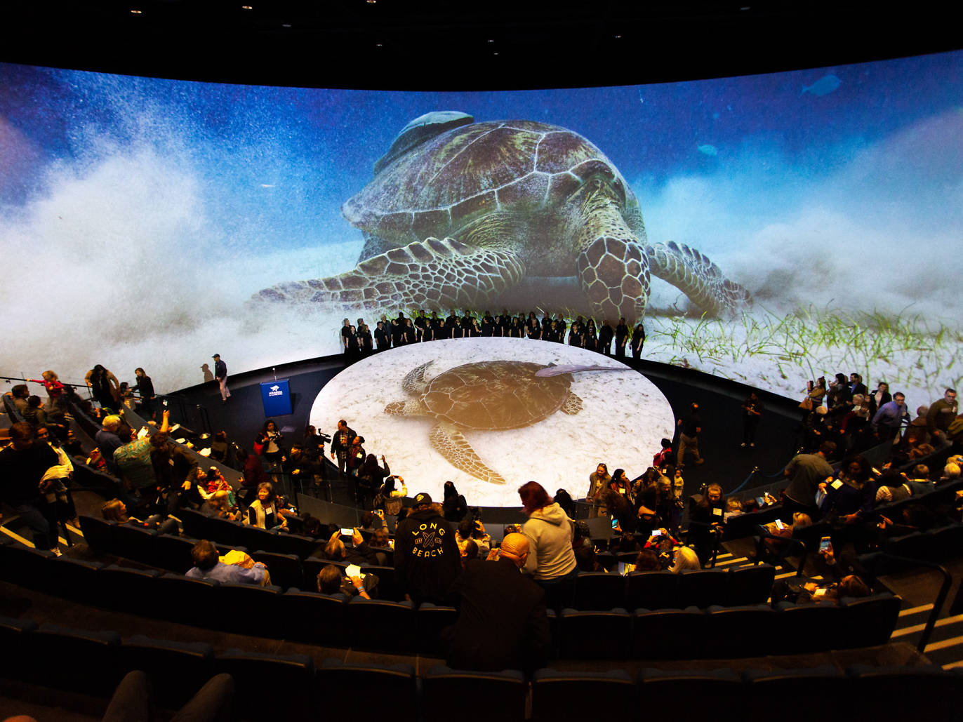 20 Best Things to Do in Los Angeles with Kids for a Fun-Filled Day