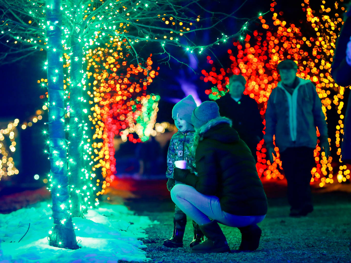 Where to See Boston Christmas Lights and Holiday Decorations 2024