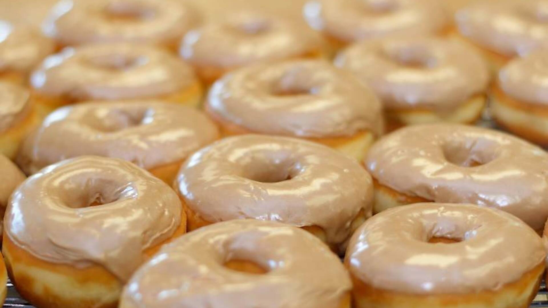 12 Best Donuts in Portland to Eat Right Now