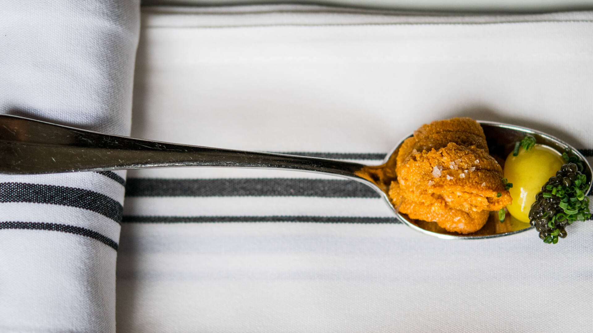 30 Pet and Dog-Friendly Places in Boston to Bring Your Furry Companion