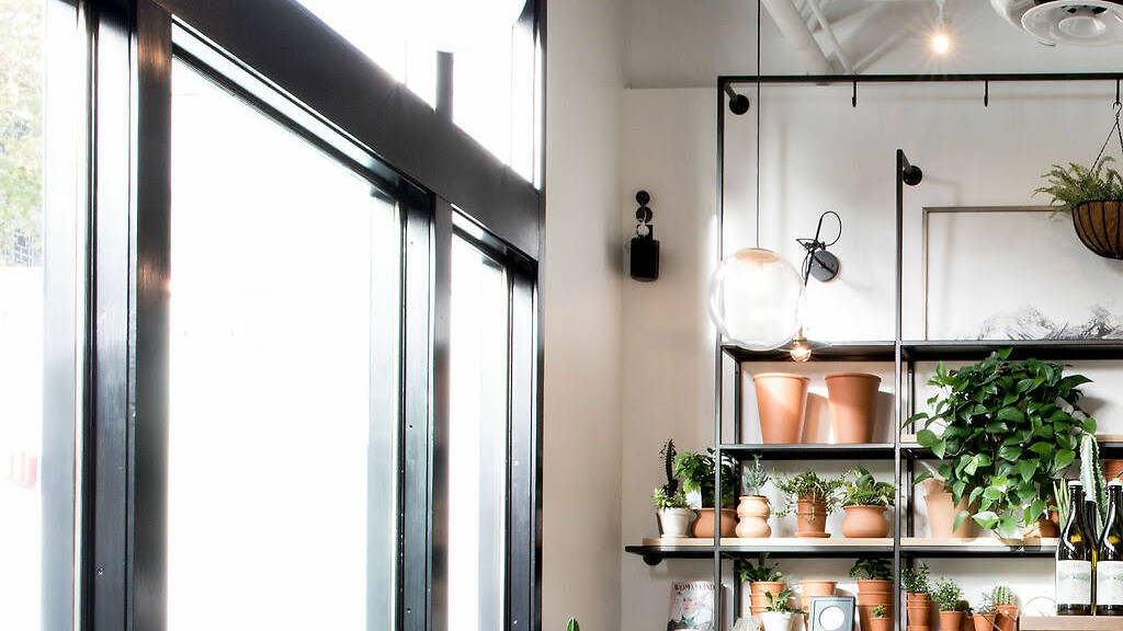 17 Great Spots for Coffee in Seattle