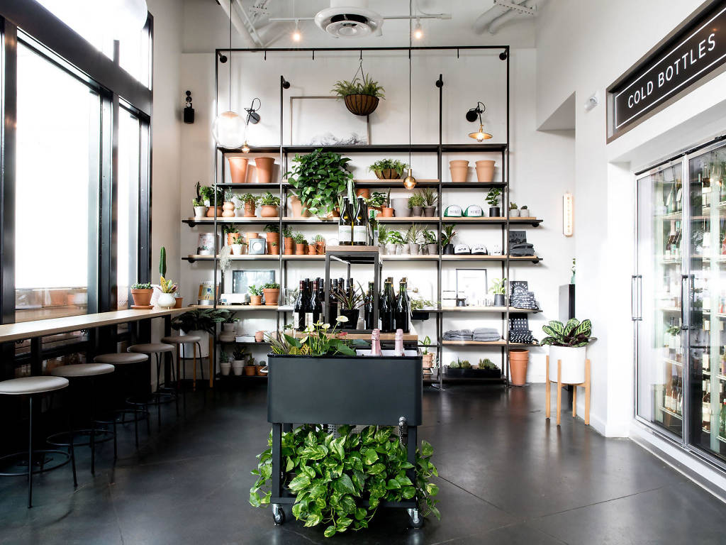 17 Great Spots for Coffee in Seattle