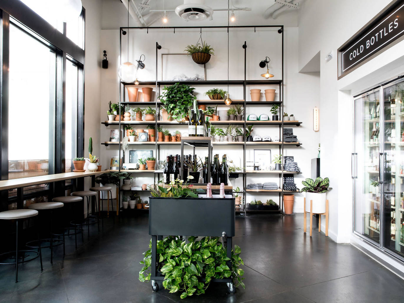 17 Great Spots for Coffee in Seattle