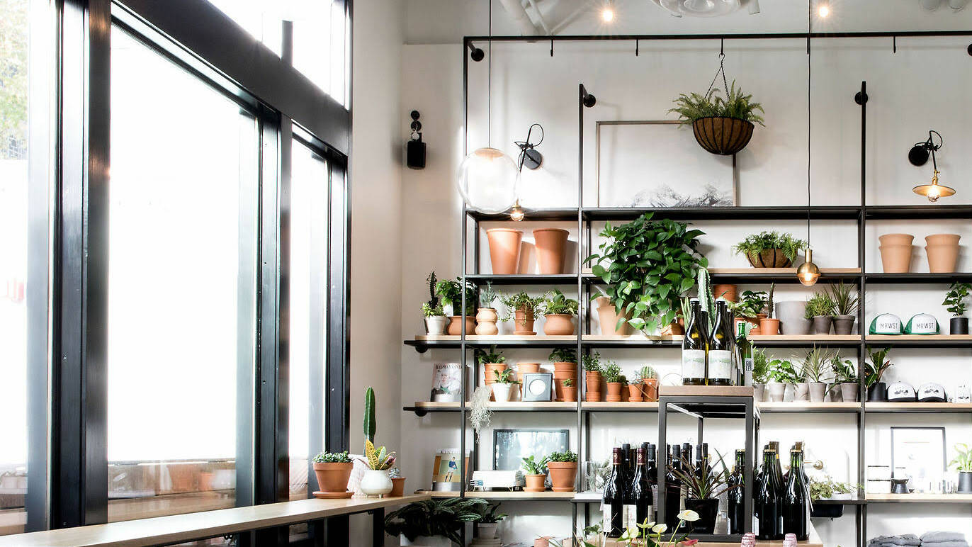 17 Great Spots for Coffee in Seattle