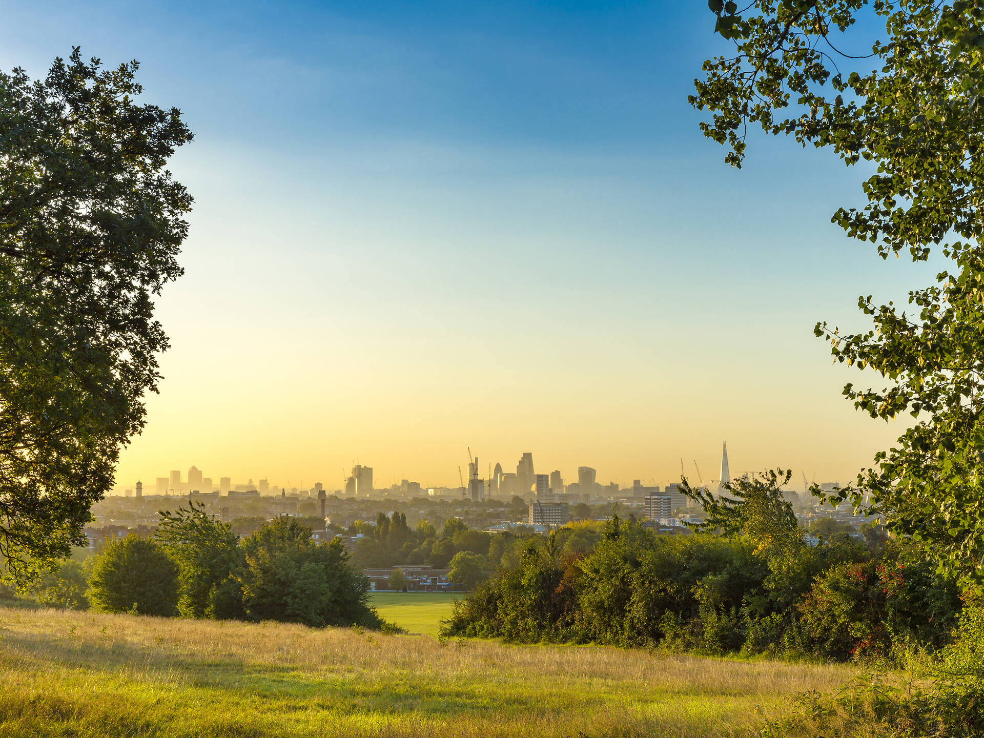 Did you know that London is the world’s largest urban forest?