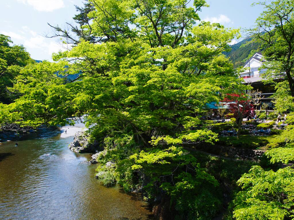 8 best nature escapes in and around Tokyo