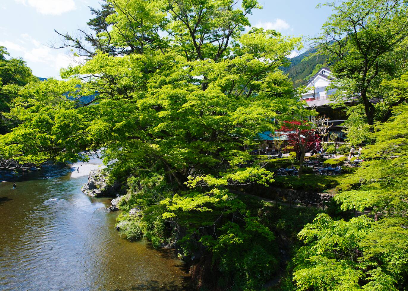 8 best nature escapes in and around Tokyo