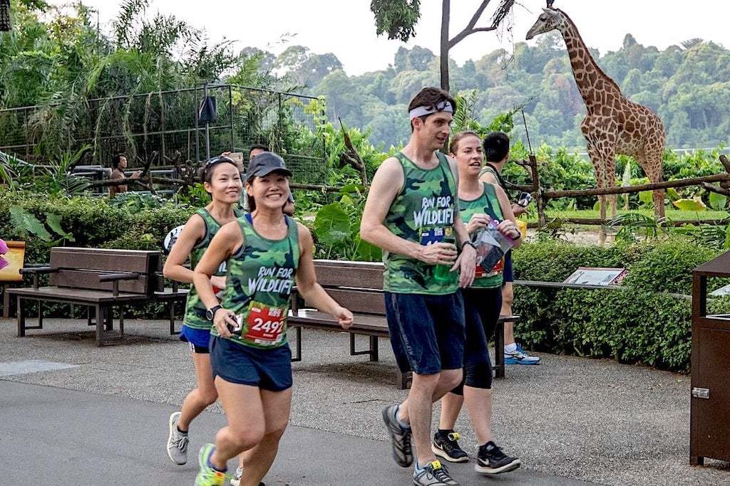 [POSTPONED] Safari Zoo Run | Sport and fitness in Singapore