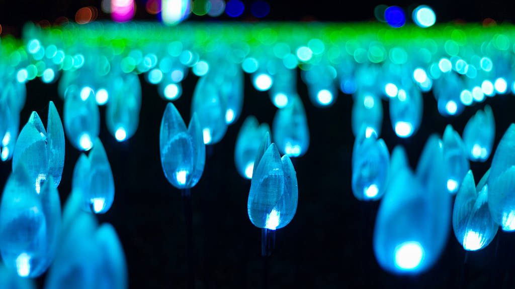 Enchanted Forest of Light brings magic back to Descanso Gardens this ...