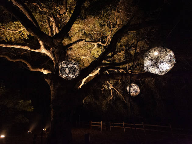 'Enchanted: Forest of Light' is bringing magic back to Descanso Gardens ...