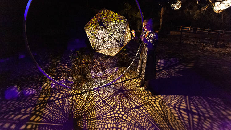 'Enchanted: Forest of Light' is bringing magic back to Descanso Gardens ...