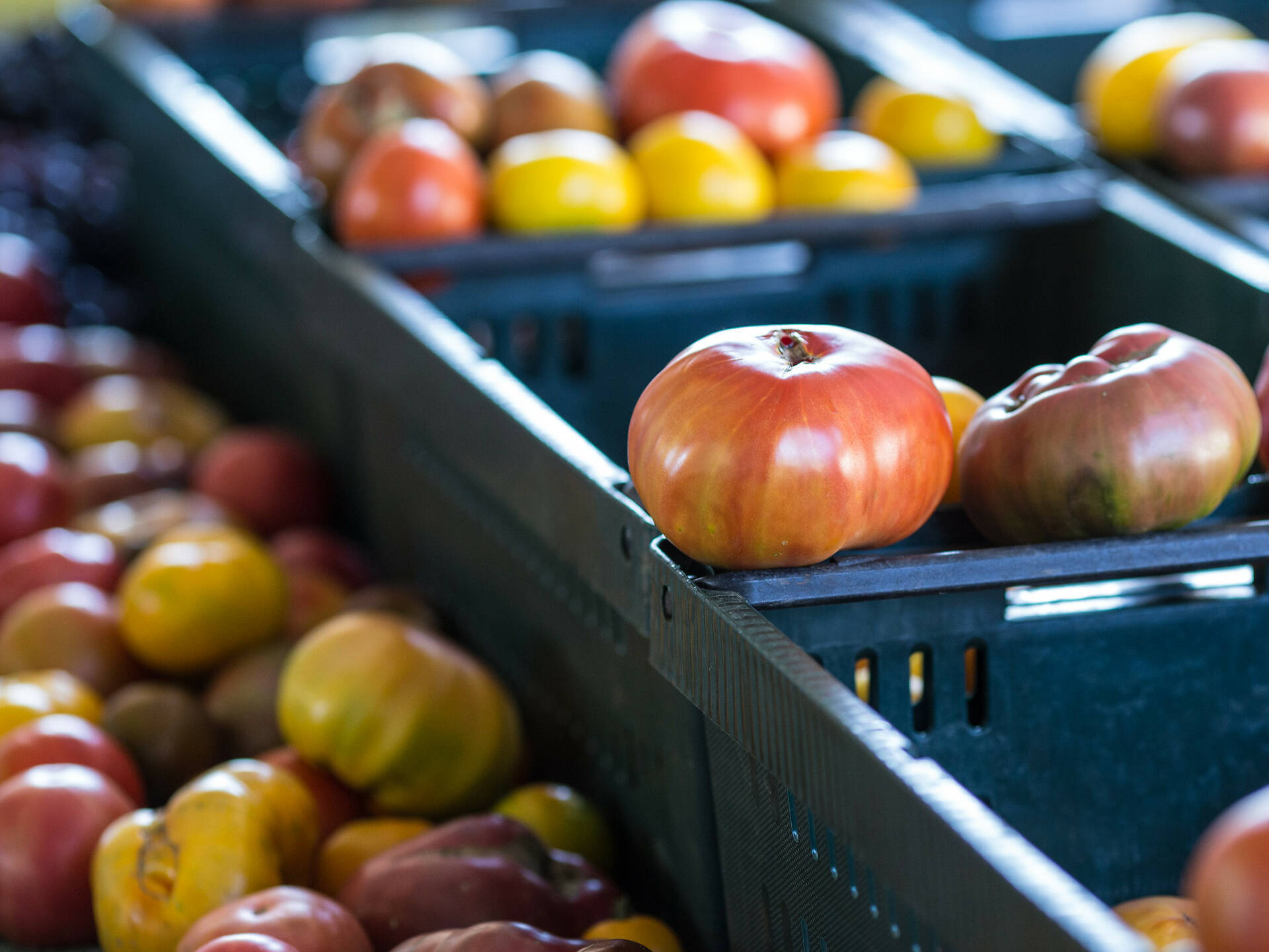 7 Best Sacramento Farmers Markets for Fresh Seasonal Produce