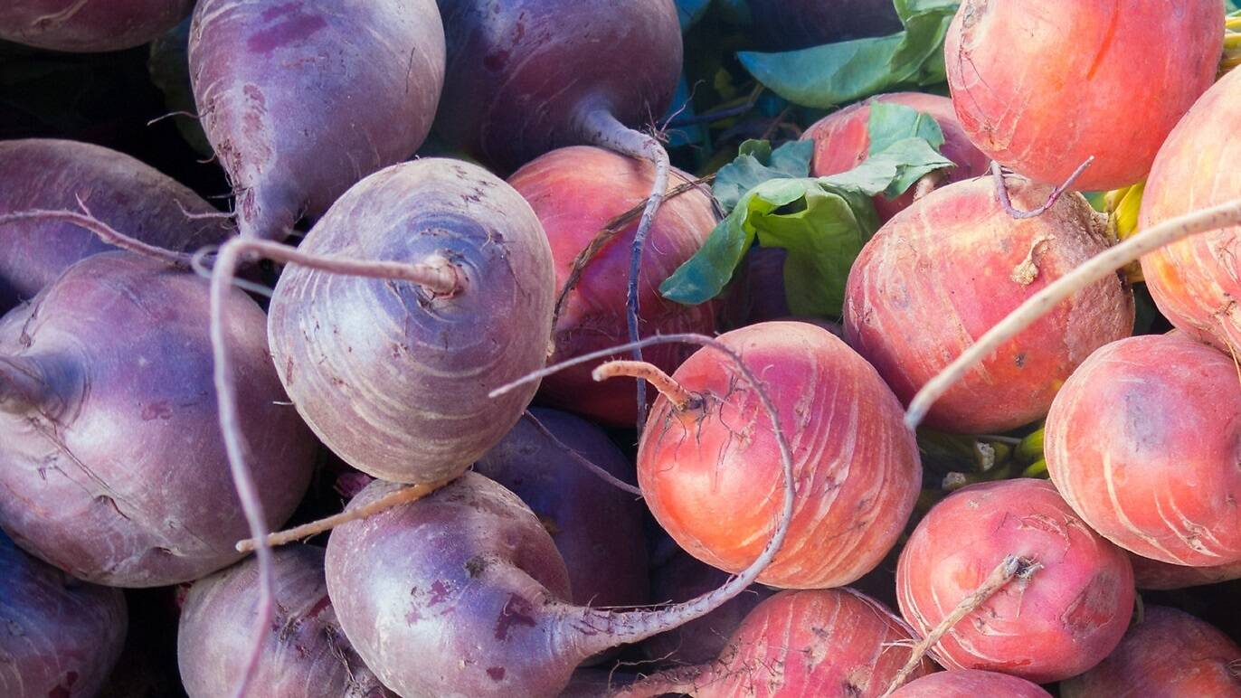 7 Best Sacramento Farmers Markets for Fresh Seasonal Produce