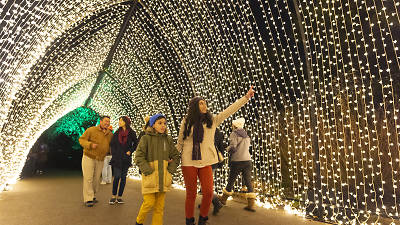 November 2022 Events Calendar for Things To Do in Chicago