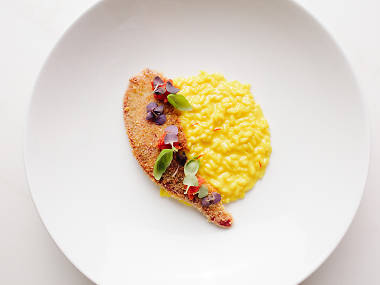 19 Amazing Fancy Restaurants in Chicago