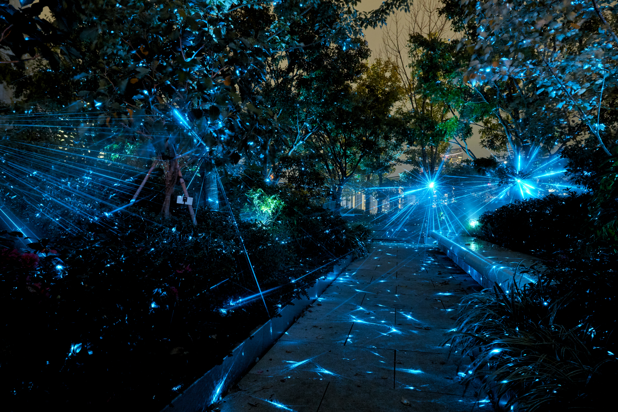 Incredible winter light displays in Tokyo | Time Out Tokyo