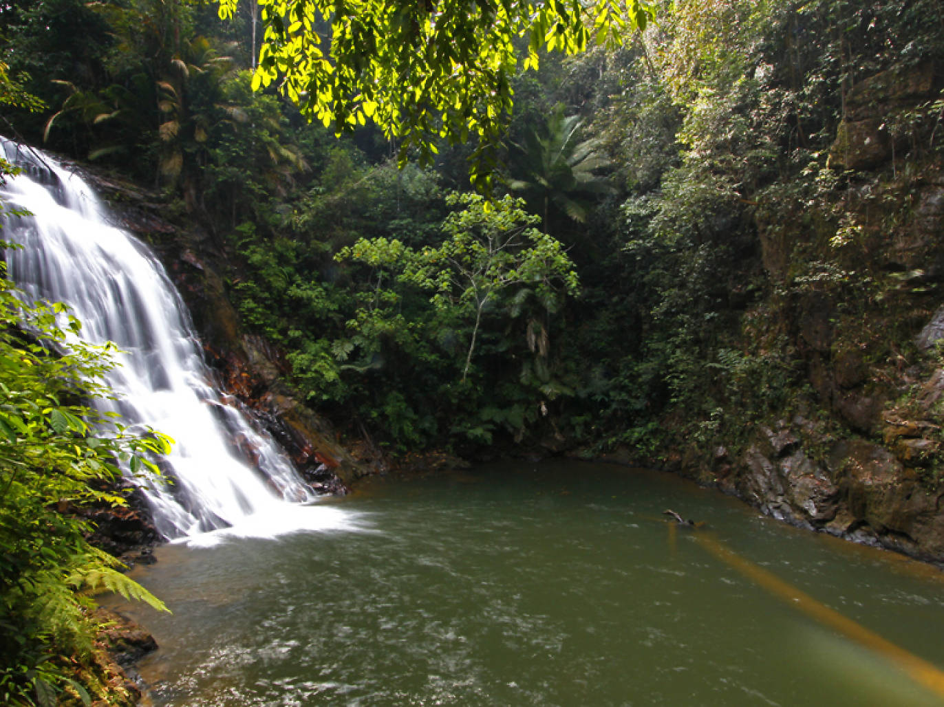 The best hiking trails in Johor Bahru