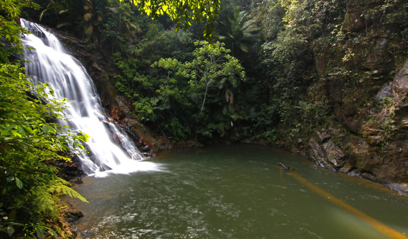 The best hiking trails in Johor Bahru