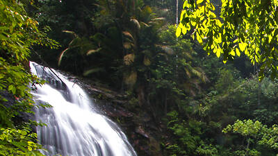 The best hiking trails in Johor Bahru