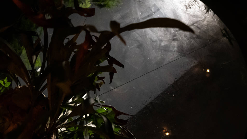 Ticuchi: Enrique Olvera traslada la cocina oaxaqueña a la CDMX