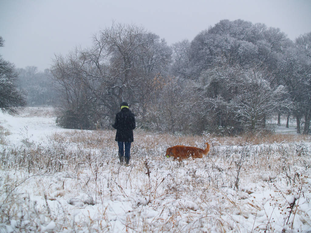 10 Best Parks in Dallas for Play, Trails and Stunning Views