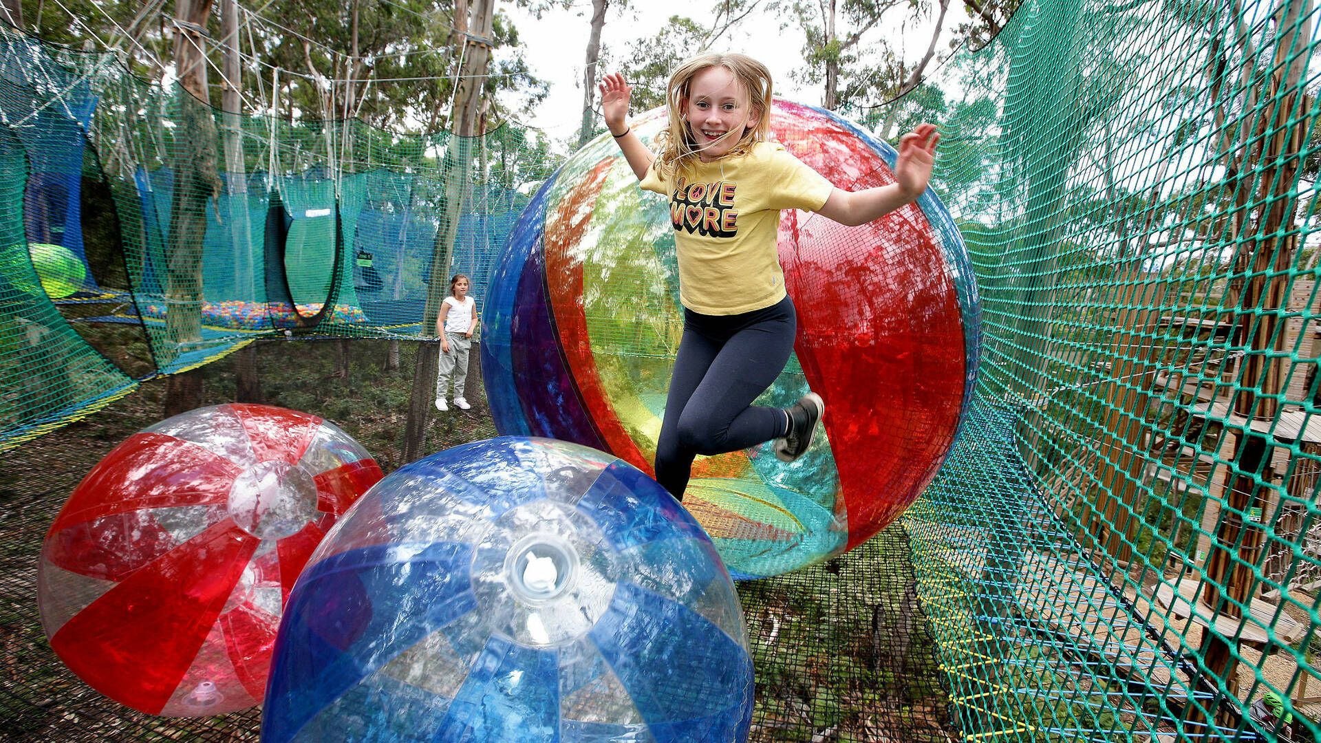 Live Wire Park | Attractions in Lorne, Melbourne