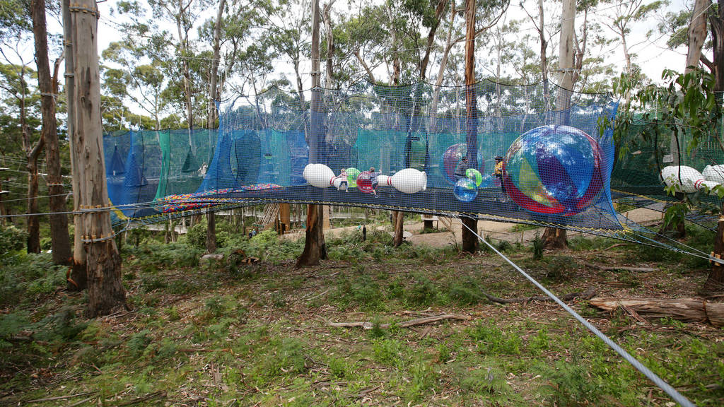 Live Wire Park | Attractions in Lorne, Melbourne