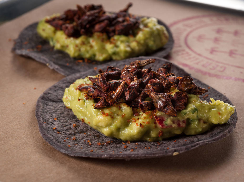 13 Spots to Check Out for Tacos in Miami