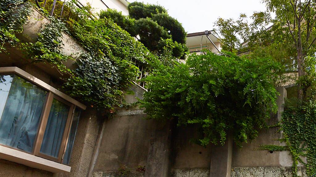 6 purr-fect spots in Tokyo for cat lovers