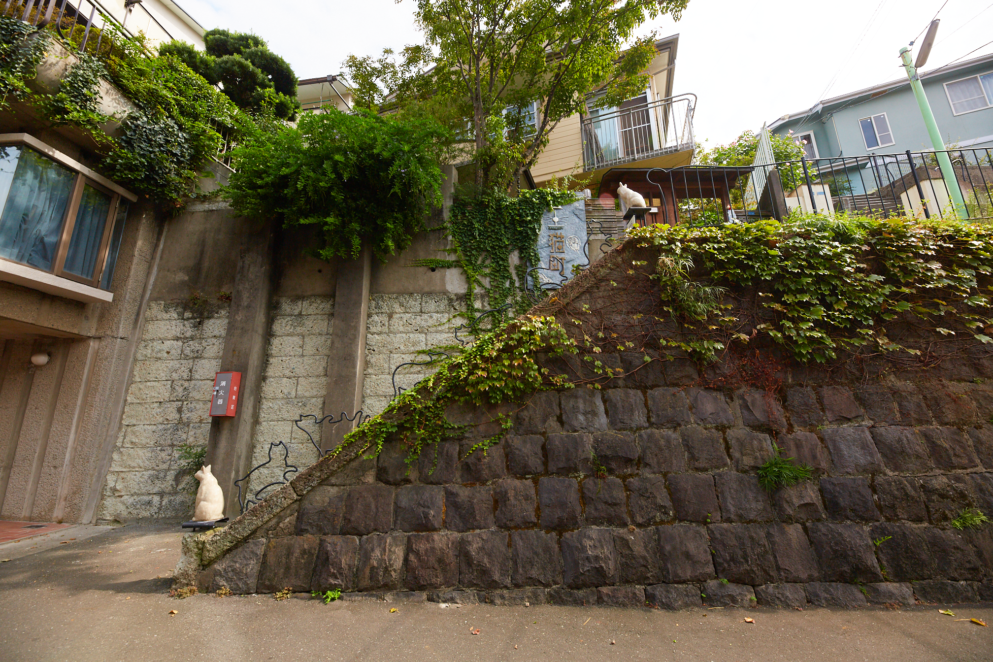 Tokyo for cat people | Things to do in Tokyo if you love cats