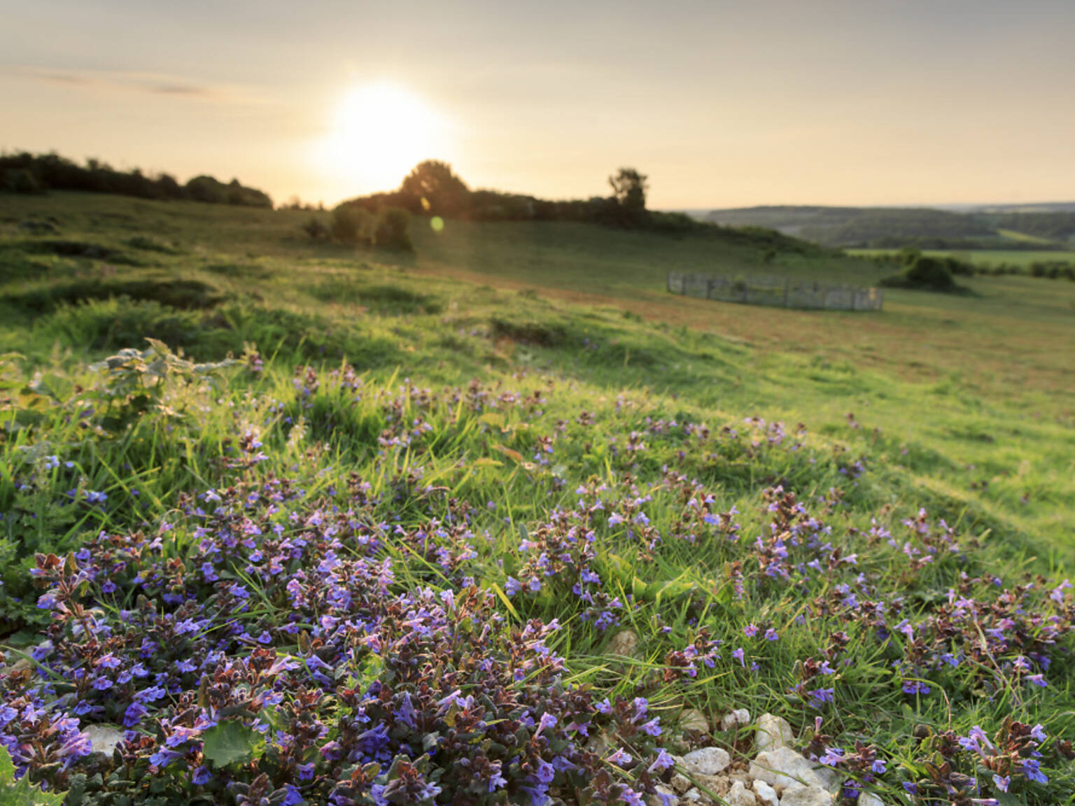 10 Best Things To Do In Stockbridge | A Perfect Day In Stockbridge