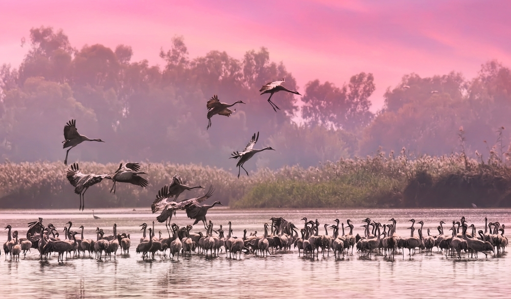 Fun Things To Do in Israel's Cold Weather