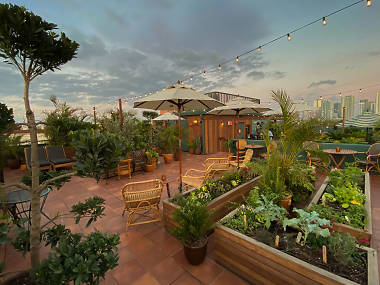 16 Best Rooftop Restaurants in Miami, From South Beach to Brickell