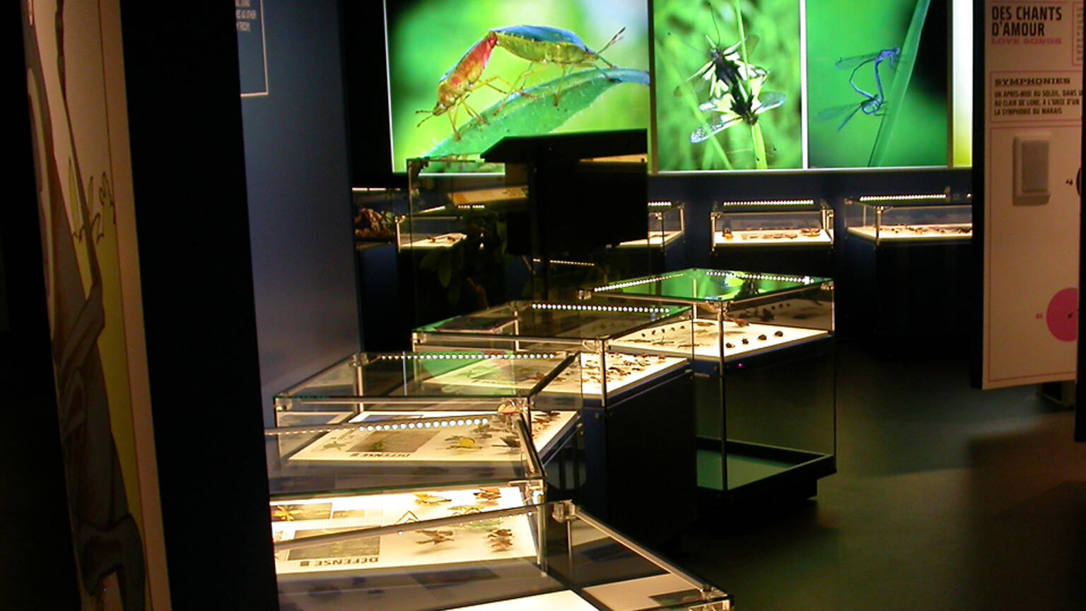 Best Montreal Zoos to Visit and Bring Out Your Wild Side