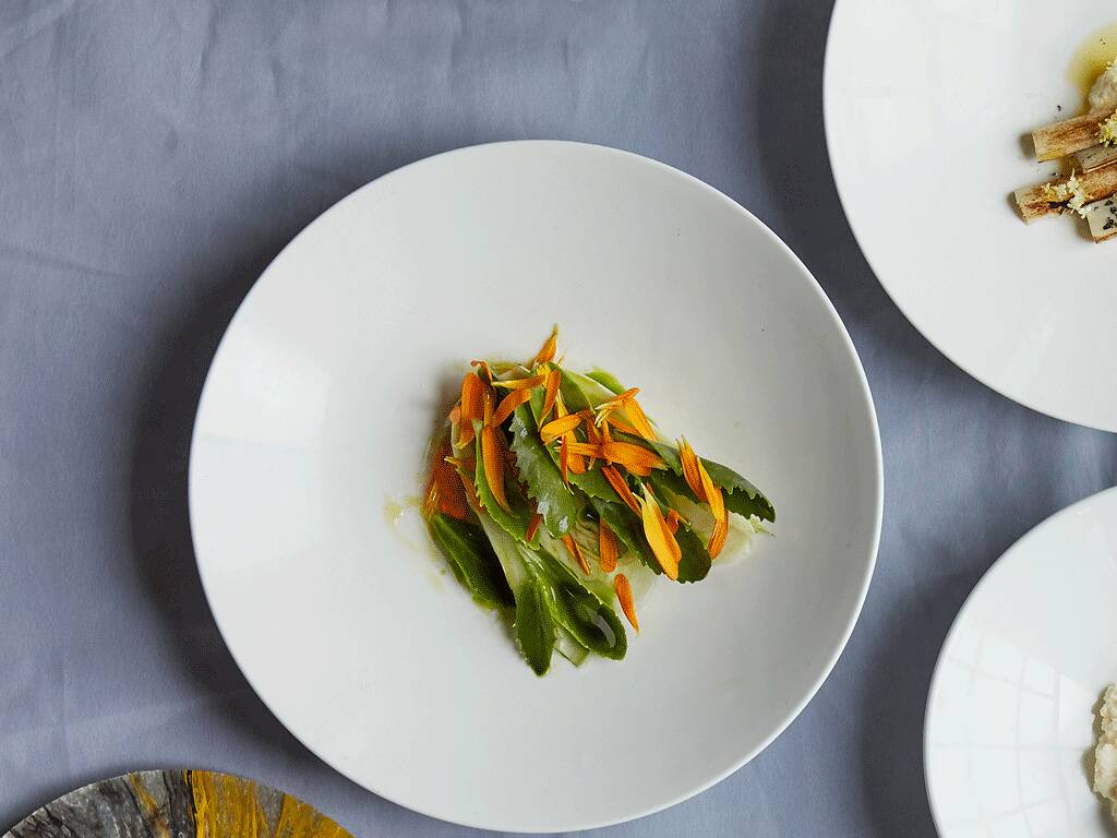 The Best Restaurants in Hackney | 30 Unmissable East London Dining Spots