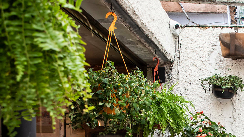 Las mejores cafeterías con terraza en la CDMX