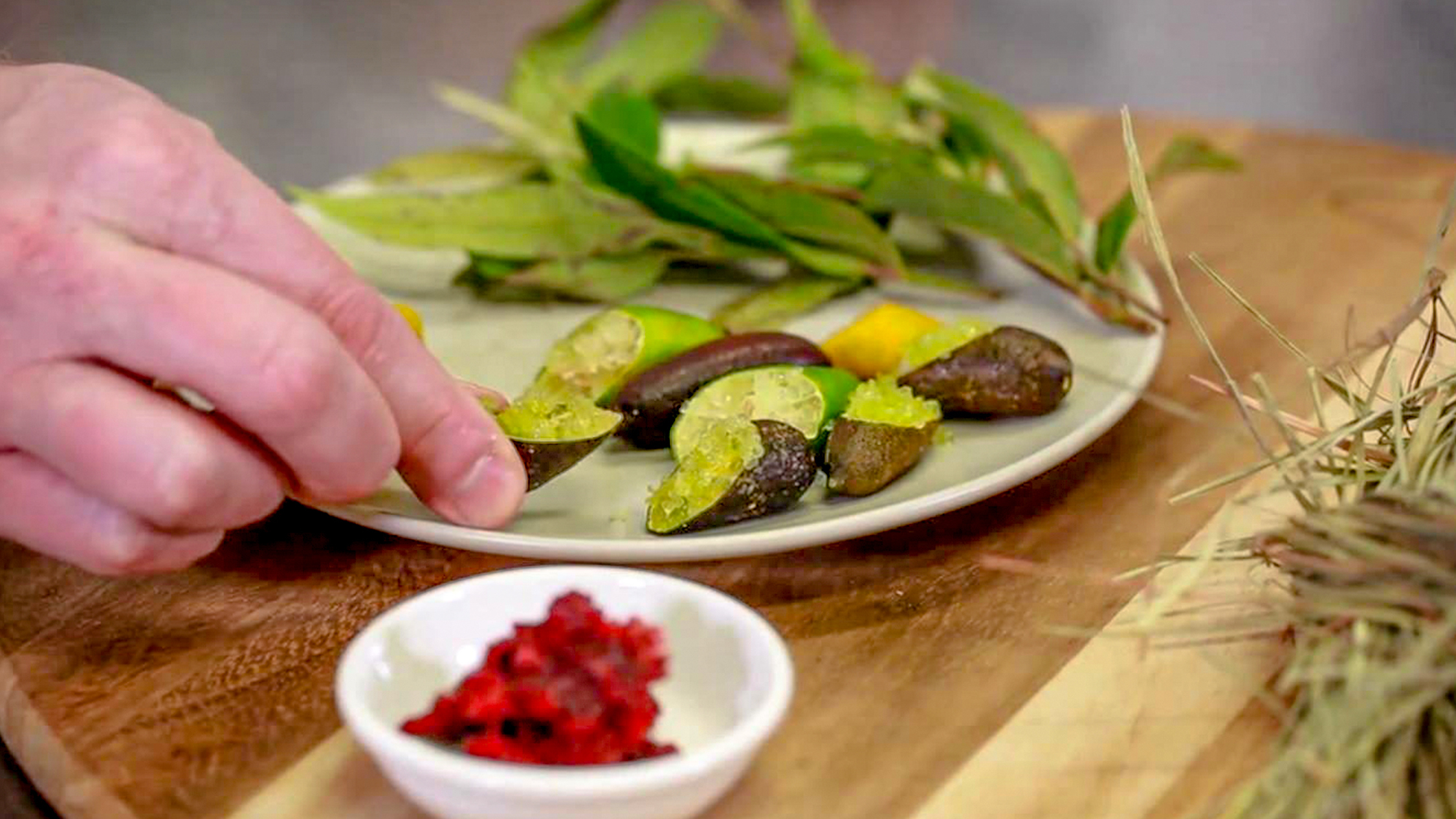 Bush Tucker Masterclass | Things to do in Sydney