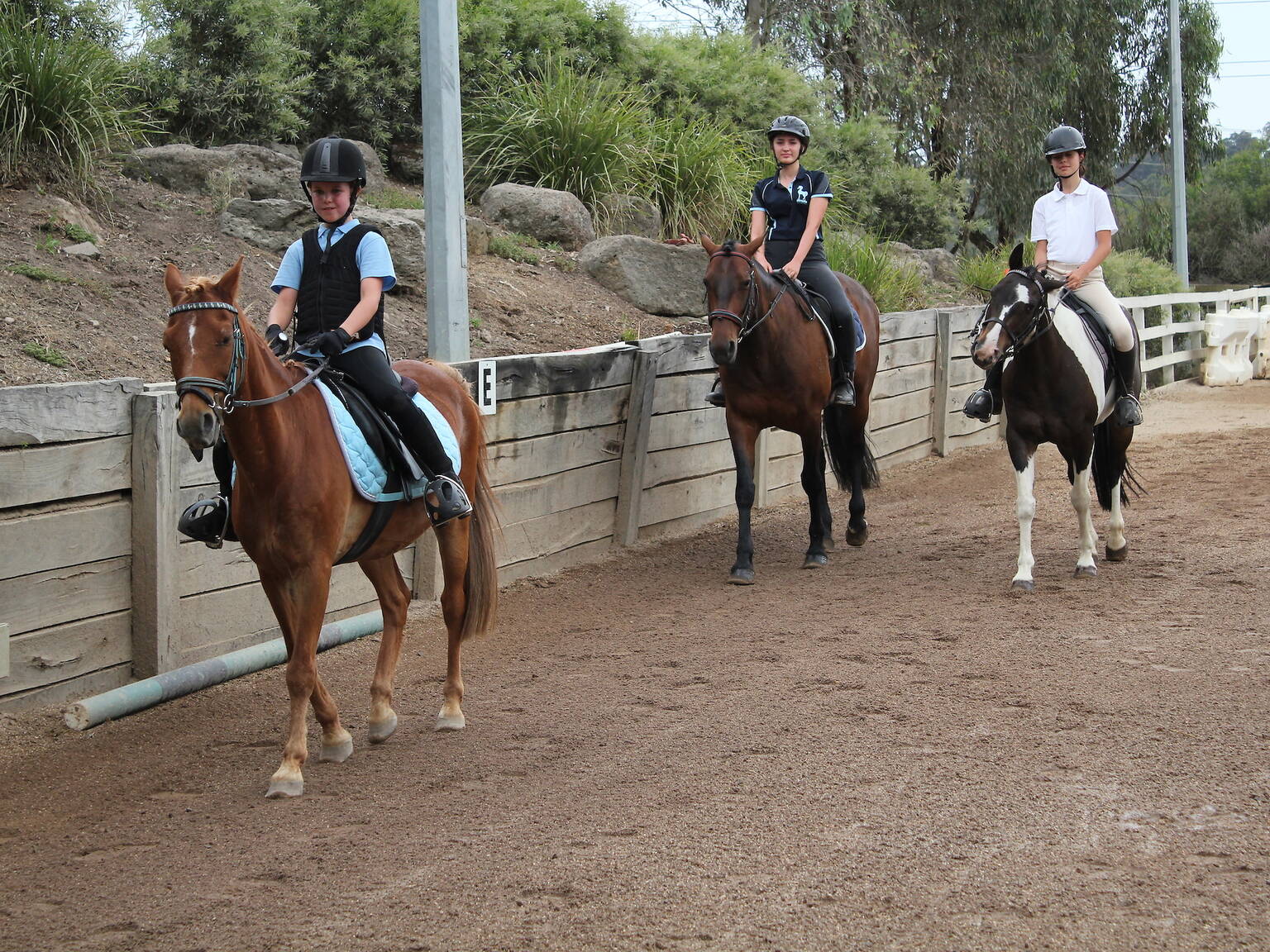 Where to go horse riding and trail riding in Melbourne