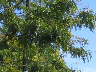 Where To Stay in Montreal: Best Neighborhoods To Visit