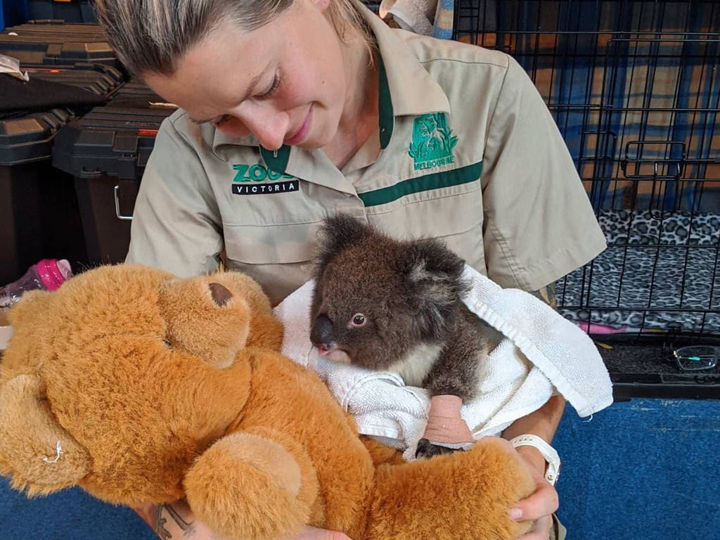 Things to do in and around Melbourne | Time Out Melbourne