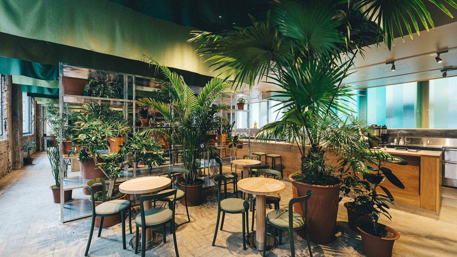 Switch Coffee Tokyo K5 | Restaurants in Kayabacho, Tokyo