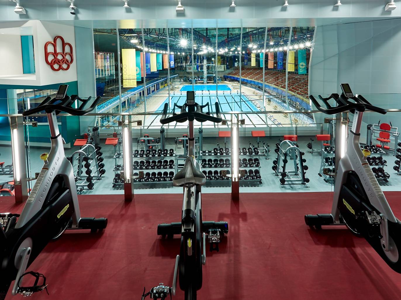 The Best Gyms in Montreal to Burn Fat, Build Muscle and More
